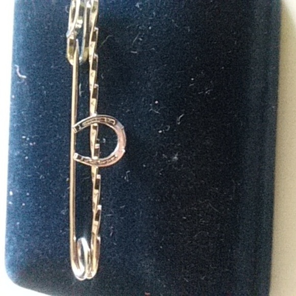 Jewelry | Collar Pin | Poshmark